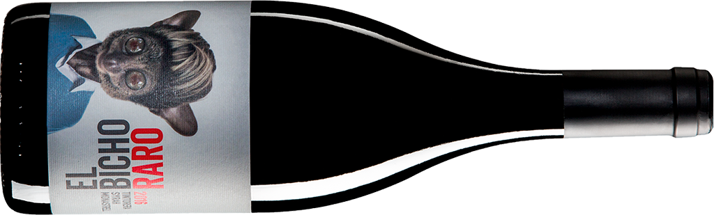 barahonda-el-bicho-raro | 5B Selección